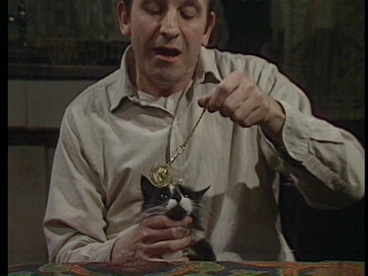 Oh...Miss Jones! VIENNA (Rigsby’s Cat)