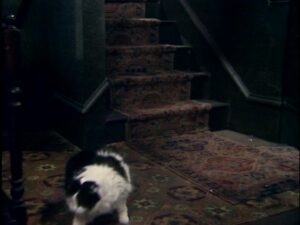 Oh...Miss Jones! Ohhhh, VIENNA! – It’s a Cat’s Life